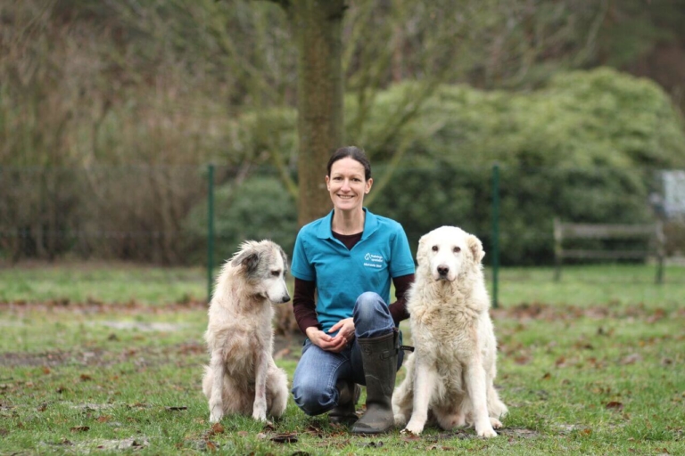 Trainingsspezialist: die 3jährige Weiterbildung für Hundetrainer*innen ...