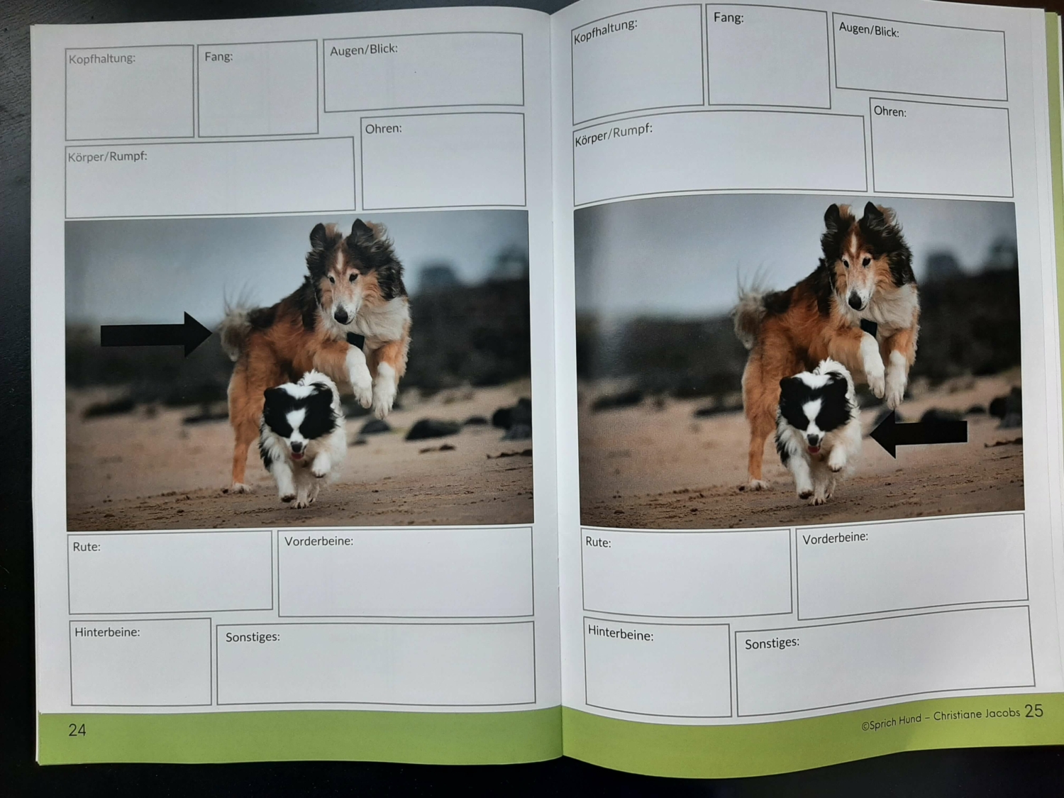 Körpersprache Hund: Sehen – Analysieren – Verstehen, Arbeitsheft von ...