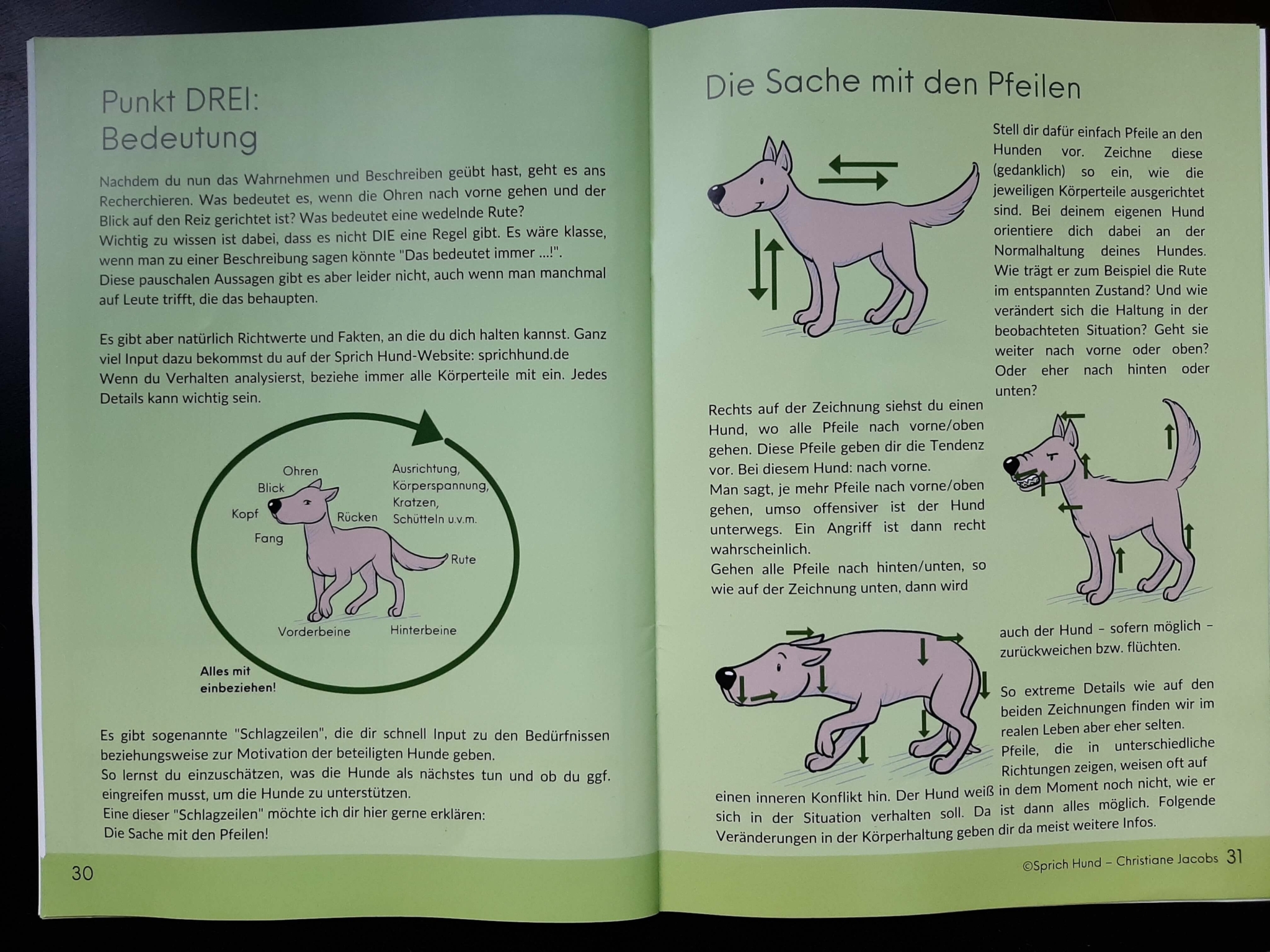 Körpersprache Hund: Sehen – Analysieren – Verstehen, Arbeitsheft von ...