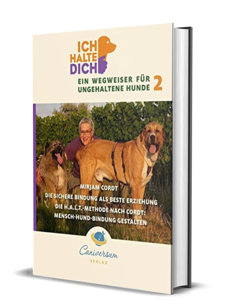 Die sichere Bindung als beste Erziehung. Die H.A.L.T.-Methode nach ...