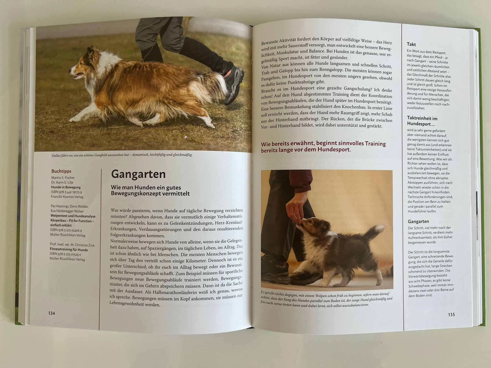 Next Stars, Buch von Susanne Huber - Easy Dogs