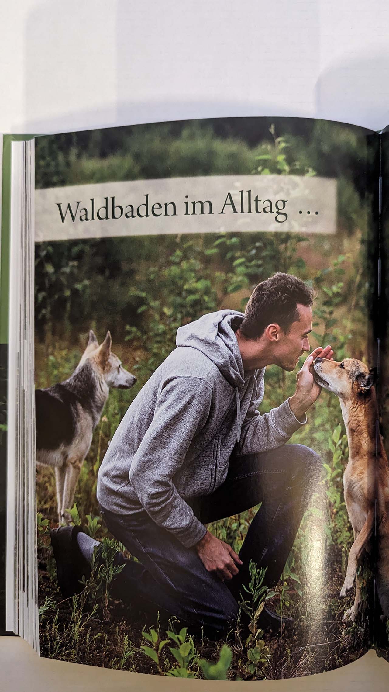 Waldsamkeit, Buch von Ines Scheuer-Dinger - Easy Dogs